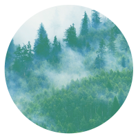 PakTech - Smart. Sustainable. Simple. Premium Packaging For Food ...